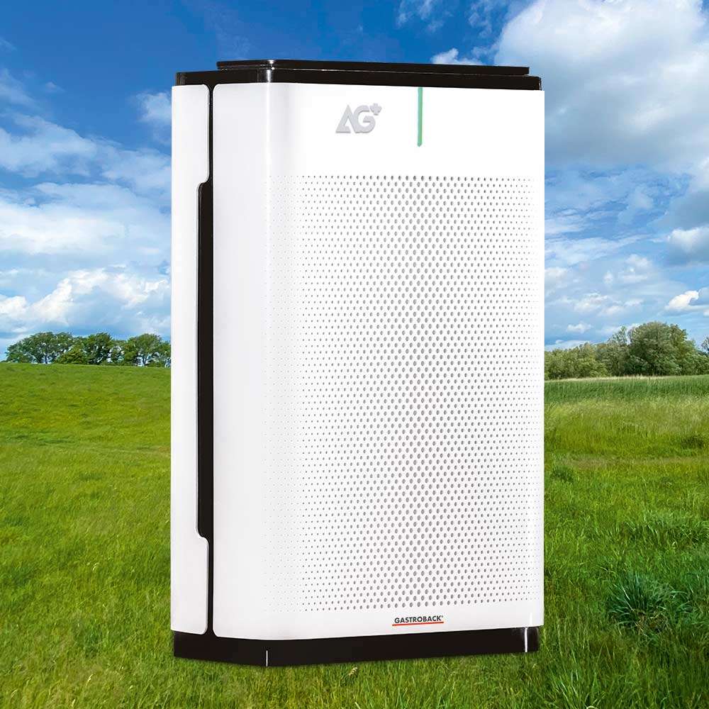 Ag+ silver ion plasma sterilization air purifier store